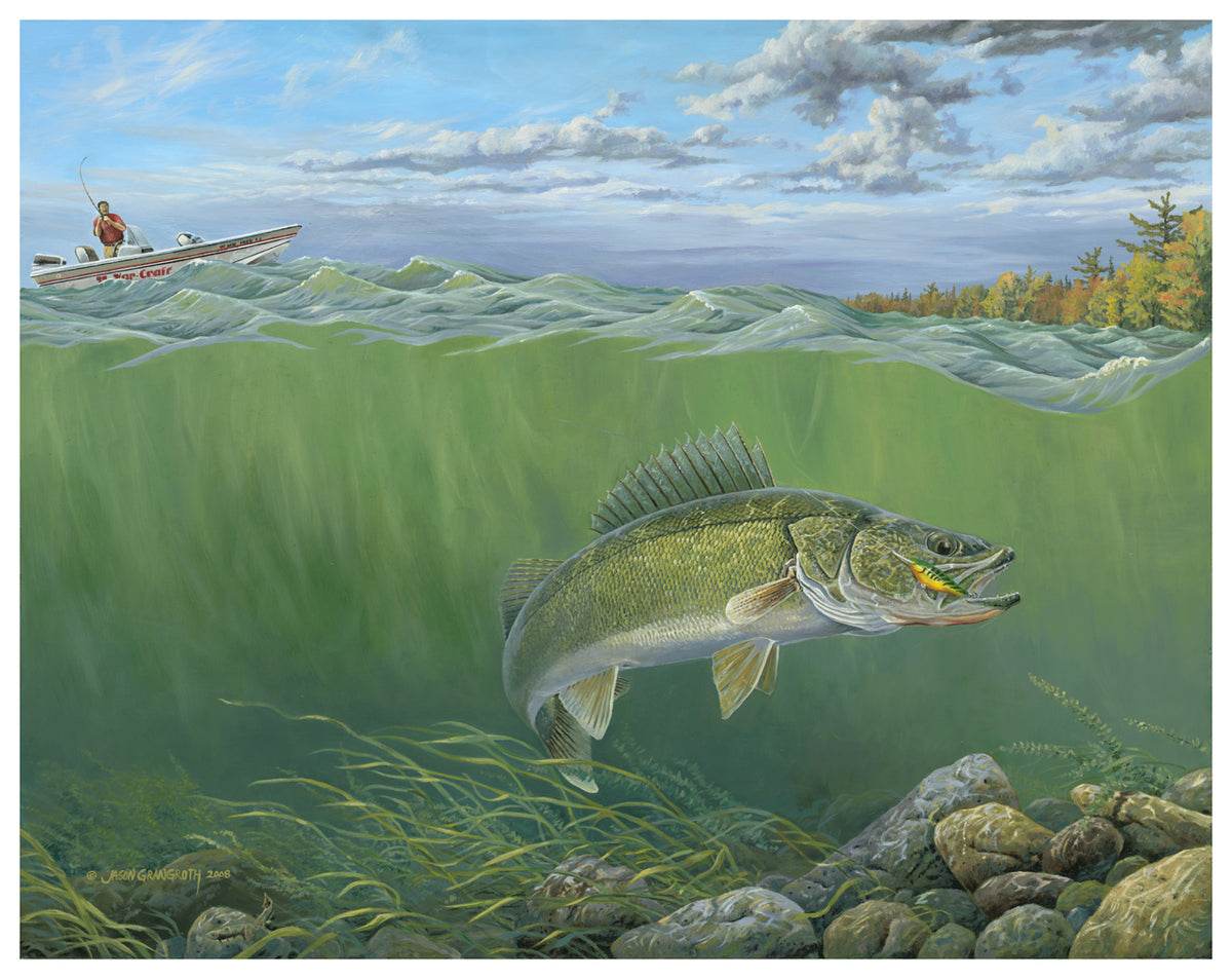 Walleye in The Rocks – Jason G Wild Art